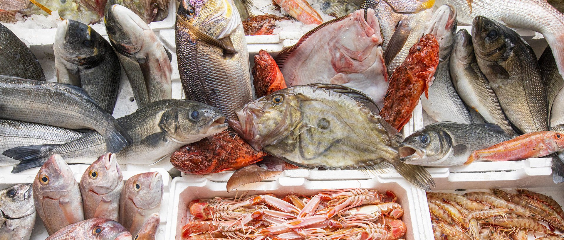 Il nostro pescato - Famiglia Galluzzi